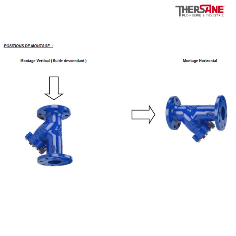 Filtre à tamis en Y fonte à brides avec revêtement époxy