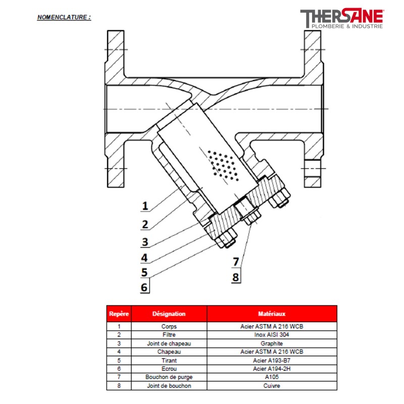 Filtre à tamis en Y fonte à brides acier haute température