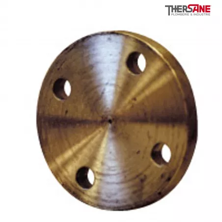 Bride pleine sans portée de joint PN 40 - type 05 A - P235GH Brides DN 15