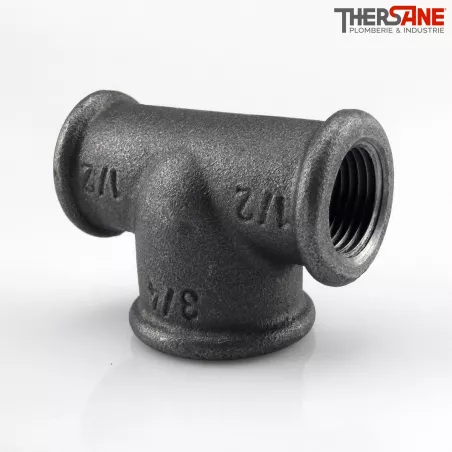 Raccord fonte malléable noir Tés réduits femelle fonte malléable Z ...