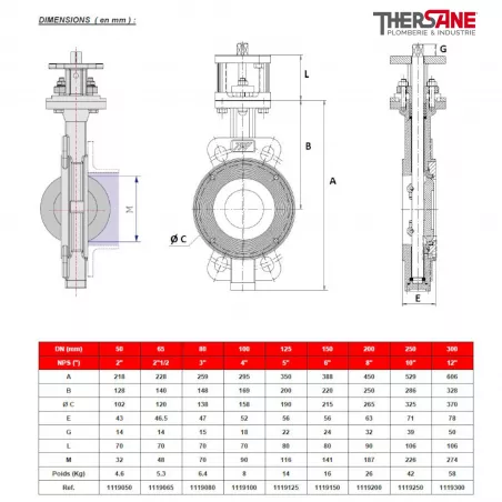 vanne à papillon double excentration WAFER sièges PTFE Diamètre DN DN 50